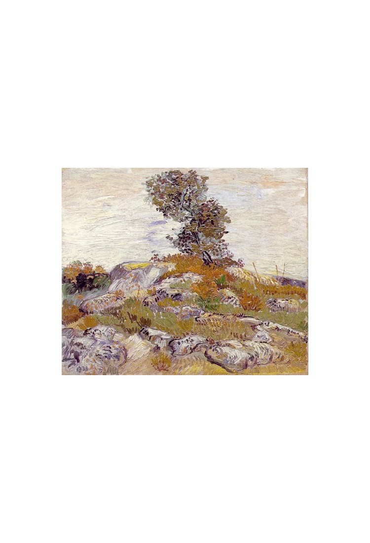 The Rocks by Vincent Van Gogh - Art gallery oil painting reproductions